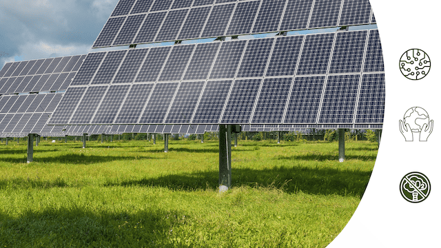 « GREEN IP » : Coup de projecteur sur l’innovation verte – Groupe Vidon